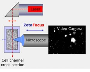 5 Reasons why Every Researcher Need to Use ZetaView for Their Exosome ...