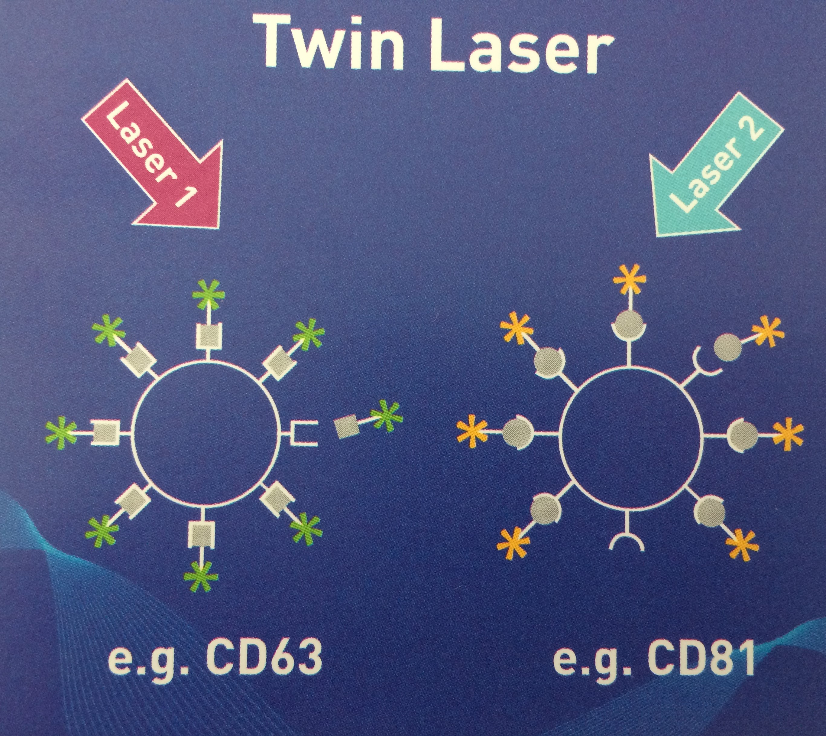 5 Reasons why Every Researcher Need to Use ZetaView for Their Exosome ...